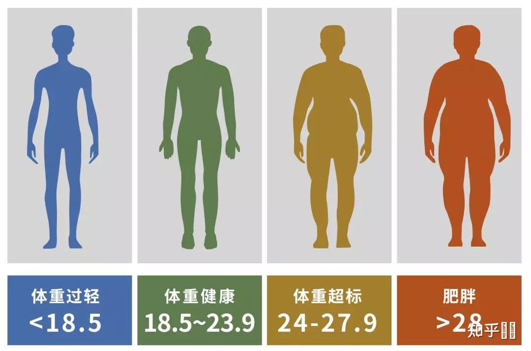 什么是BMI？如何计算自己的BMI？ - 知乎