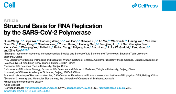 文献阅读| Structural Basis for RNA Replication by the SARS CoV-2 Polymerase ...