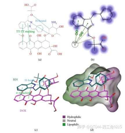 以Bindarit为载体构建新型多柔比星纳米药物:基于多尺度计算机模拟辅助设计的研究 - 知乎