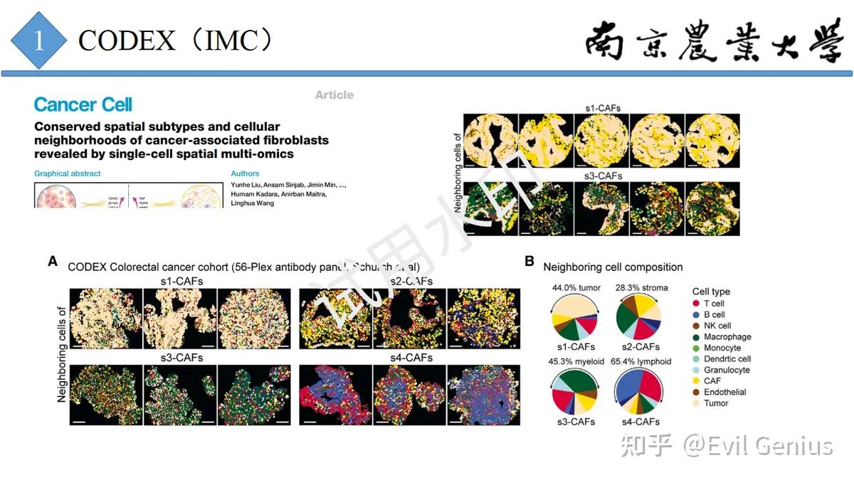 第26课PPT--CODEX（IMC、mIHC）基础分析梳理 - 知乎