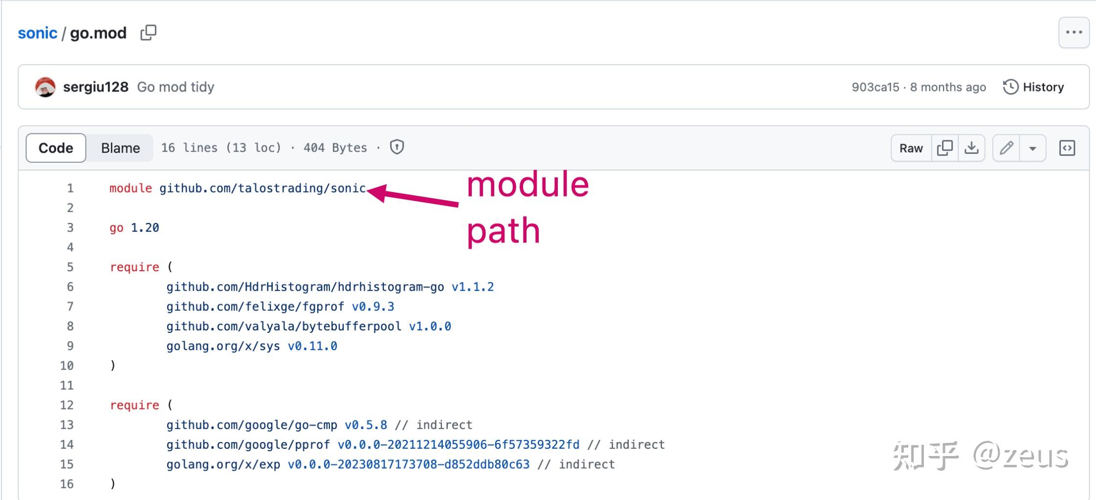 (未完结) 如何成为 Go 大师 - 知乎