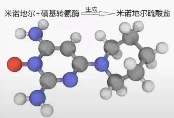 米诺地尔停用后脱发越来越严重？达霏欣到底应该怎么用才能生发？