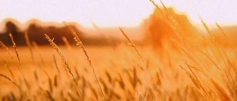 Motorola中msb和lsb CAN报文字节排列顺序 - 知乎