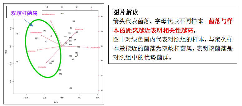 跟着SCI文献读懂PCA图片的内容和原理，看完这篇就全明白啦! - 知乎