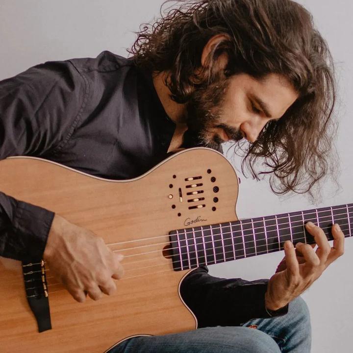 一次看懂，如何选择 GODIN 静音吉他 - 知乎