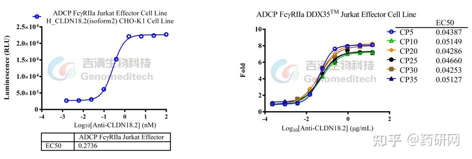抗体三大作用机制：ADCC/ADCP/CDC - 知乎
