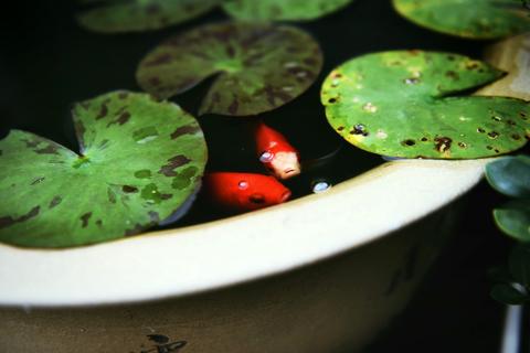 完善 Golang Gin 框架的静态中间件：Gin-Static - 知乎