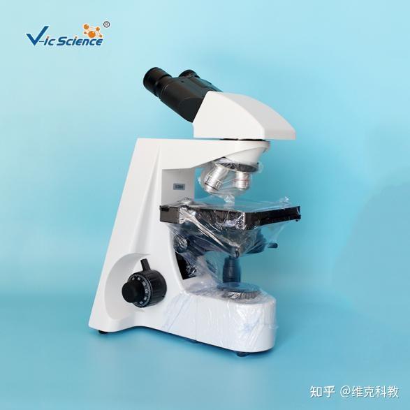 双目显微镜的构造及原理 - 知乎