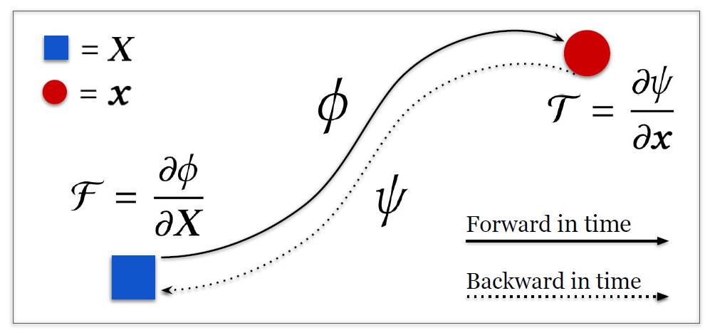 SIGGRAPH Asia 2023 : 基于Neural Flow Maps的流体模拟 - 知乎
