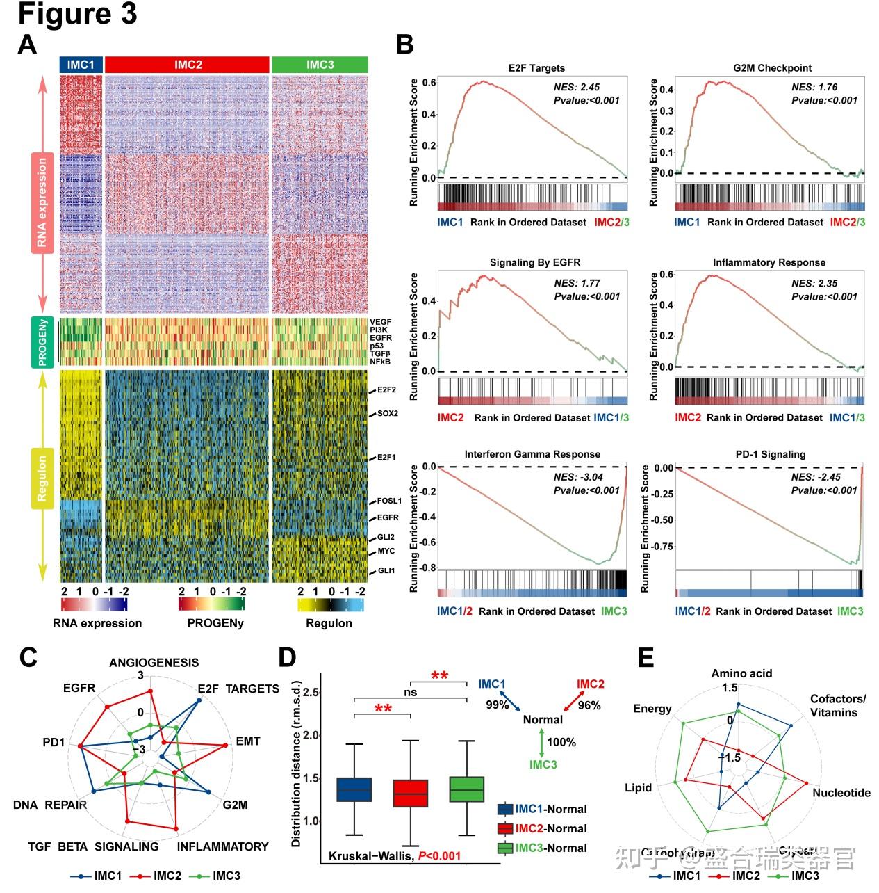 多组学+类器官解锁Cancer Research！还有谁不会用它俩上大分？ - 知乎