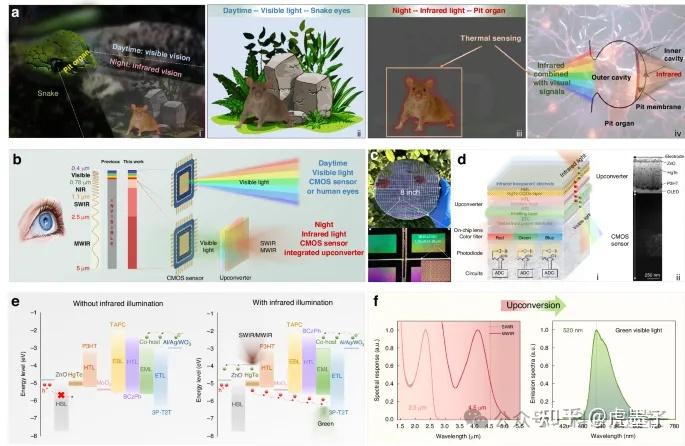 首创晶圆级集成！《Light: Sci. & Appl.》报道北理工超高分辨率红外CMOS视觉芯片 - 知乎