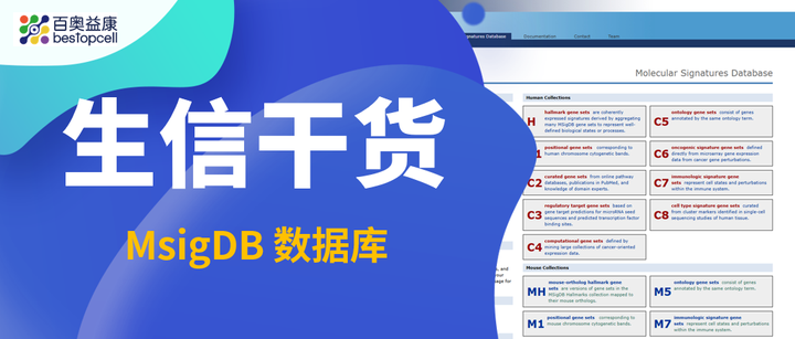 生信干货 | 一文解锁 MsigDB 数据库 - 知乎