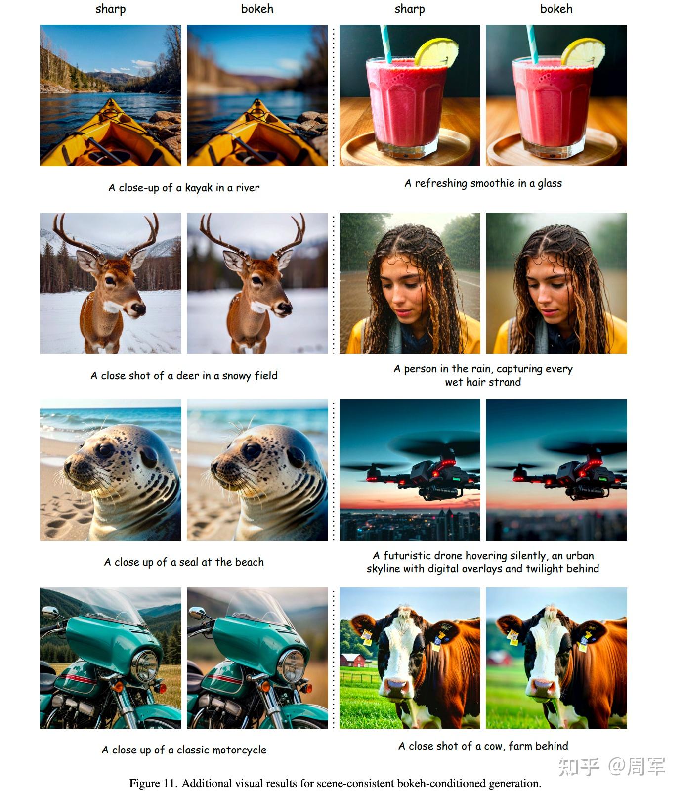 图片编辑(景深控制)-Bokeh Diffusion - 知乎