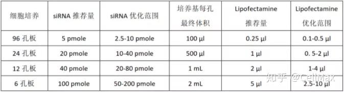 siRNA转染实验 - 知乎
