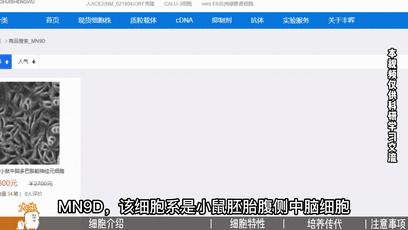 MN9D细胞培养，小鼠中脑多巴胺能神经元细胞培养攻略 - 知乎