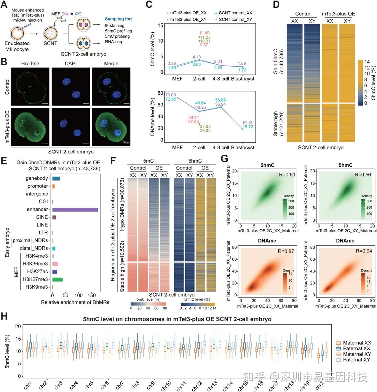 易基因：Adv Sci/IF14.1：中科院动物所郭帆团队等表观多组学揭示克隆胚胎DNA羟甲基化动态及功能 解析体细胞重编程障碍机制 - 知乎