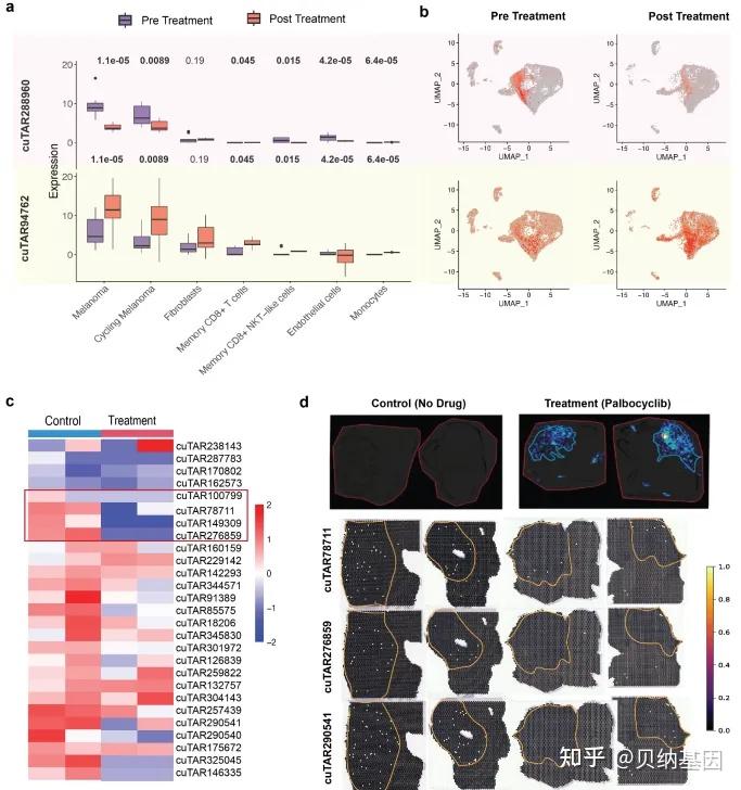 Visium HD 3'×ONT测序：双剑合璧，尽显空间全长转录组“超清解析”硬实力 - 知乎