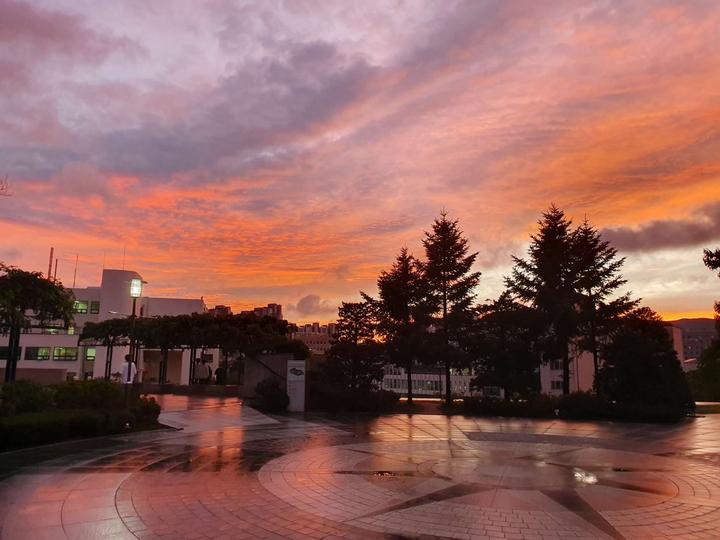 mmdet3.x在PASCAL VOC2007上的训练推理和可视化with useful tools - 知乎