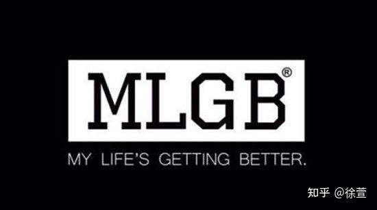 mlgb？ - 知乎