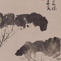 CSS mix-blend-mode 混色 - 知乎