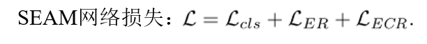 Self-supervised Equivariant Attention Mechanism for Weakly Supervised ...