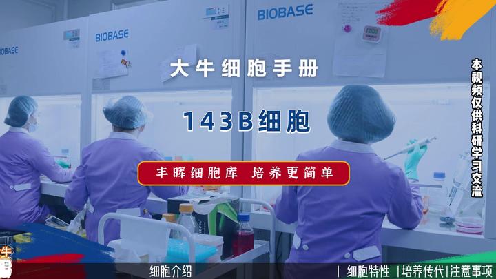143B细胞培养，人骨肉瘤细胞培养攻略 - 丰晖生物 - 知乎