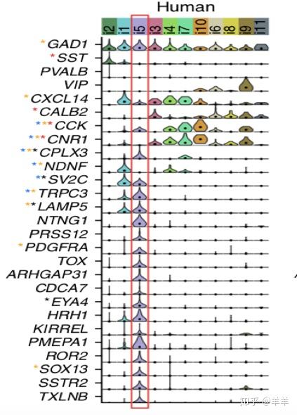 R语言作图——Facet violin plot - 知乎