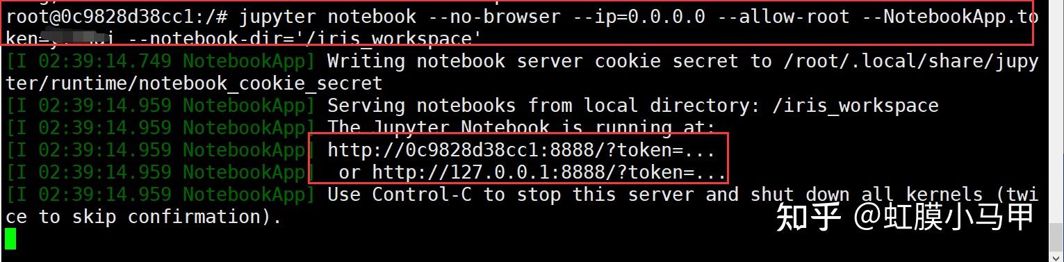 在Linux服务器，基于Docker搭建Jupyter深度学习环境（支持GPU加速） - 知乎