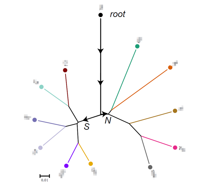 VCF2Dis 新功能 group Tree - 知乎