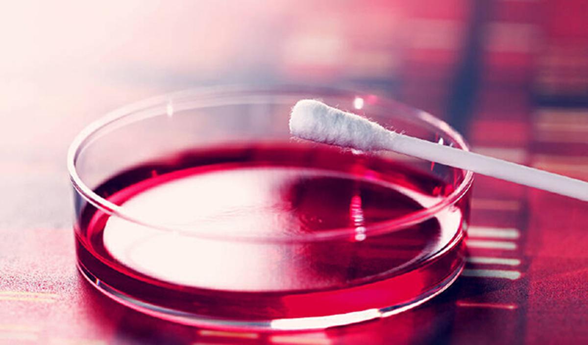 TAA Medical统恩医学专家发现，干细胞调节亚健康才是最好方法 - 知乎