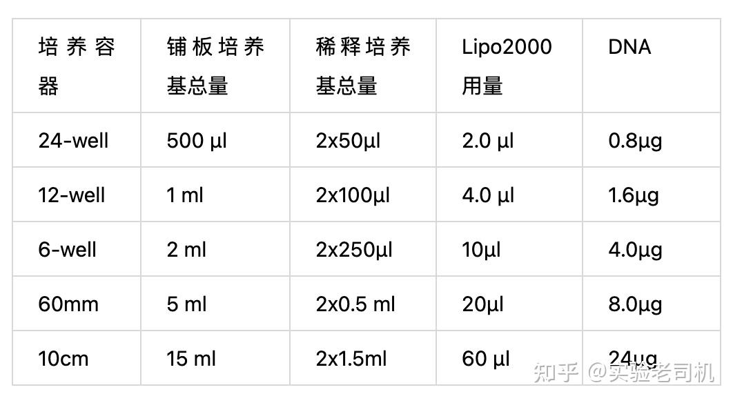 Lipofectamine™ 2000瞬时转染的实验流程 - 知乎
