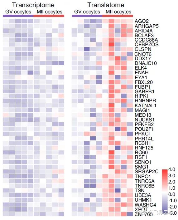 Active Ribo-seq：活跃翻译组测序技术 - 知乎