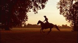 【分享】最PR全套插件合集Mac+Win(9000款) - 知乎