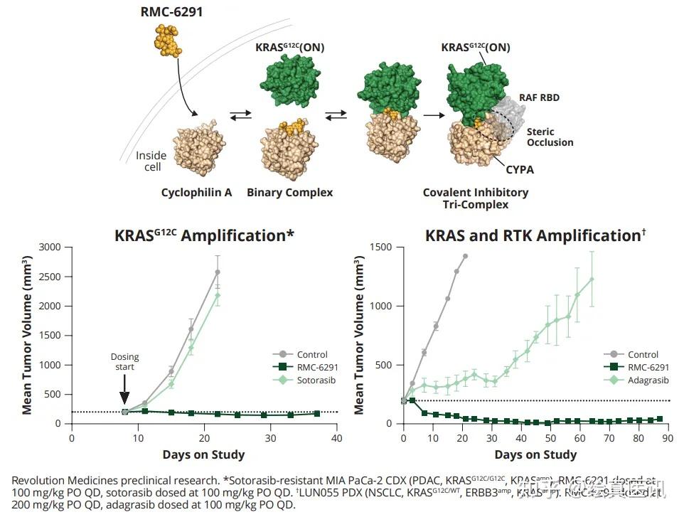 KRAS G12C突变肺癌再迎新药！Elironrasib获FDA突破性治疗认定 - 知乎