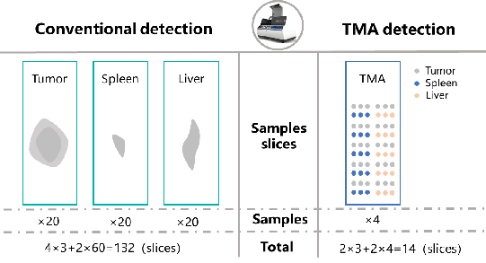 强强联合 | TMA&TSA助力生物医药产业创新发展 - 知乎