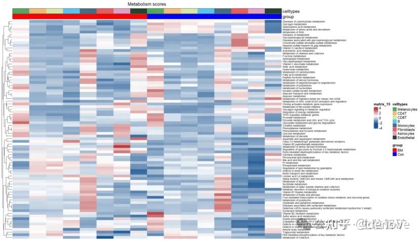 单细胞转录组代谢通路scMetabolism和表型分析Scissor - 知乎