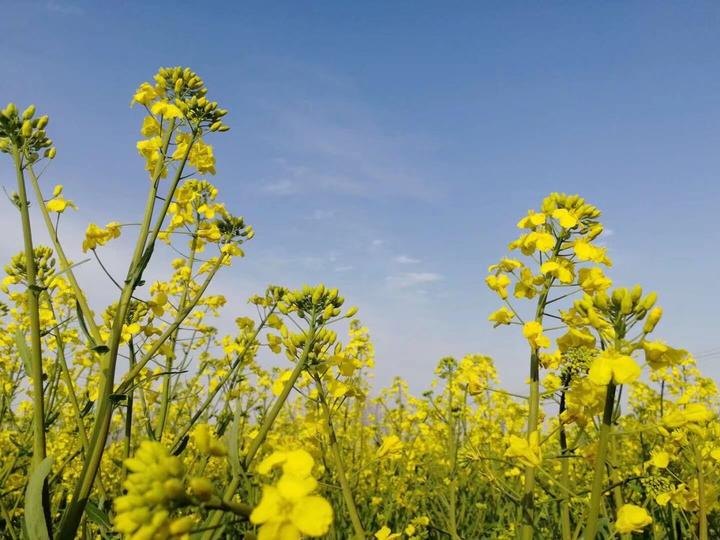 MMU(三)：看一看什么是MMU - 知乎