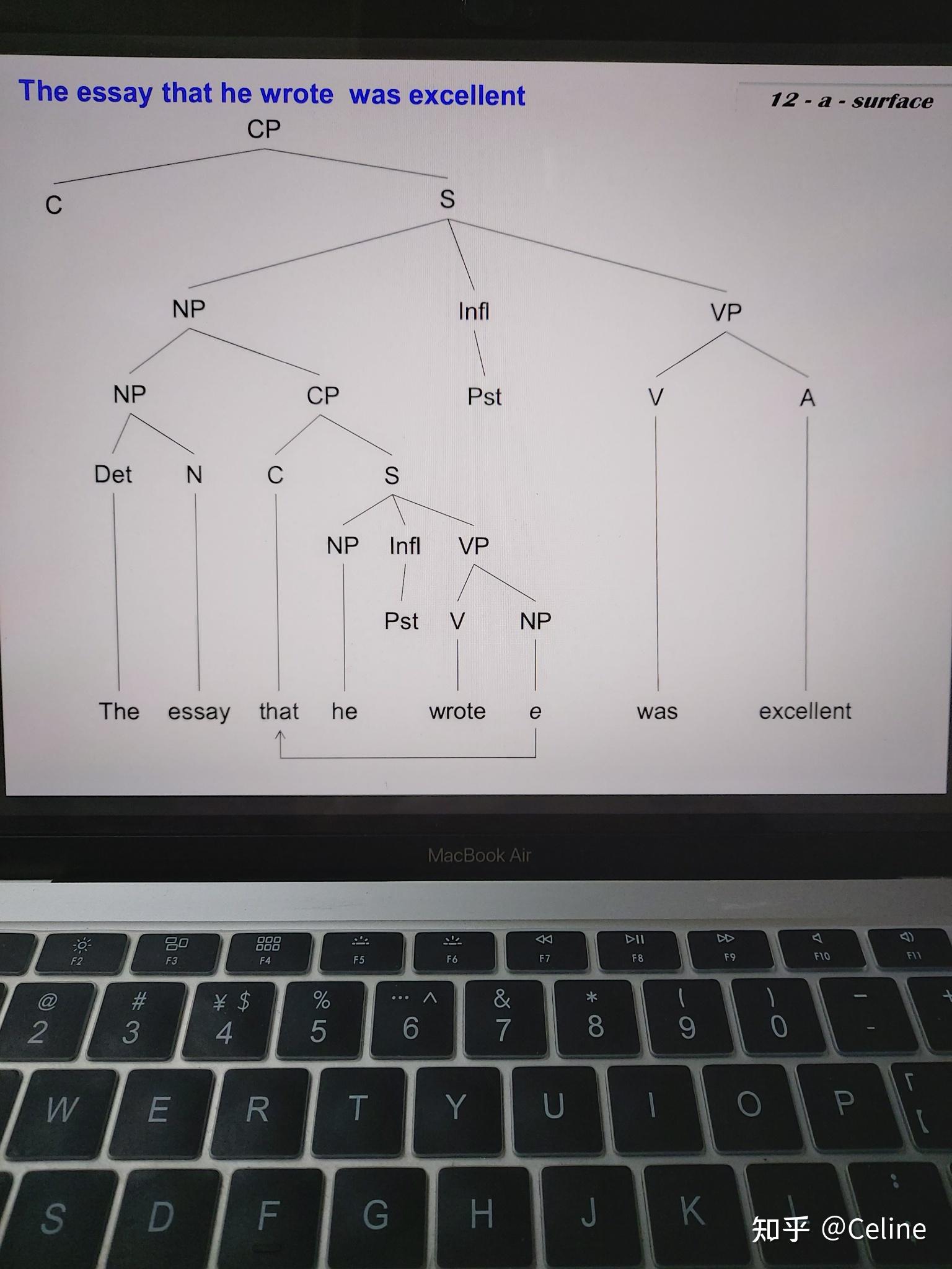 语言学 句法学树状图怎么画 知乎