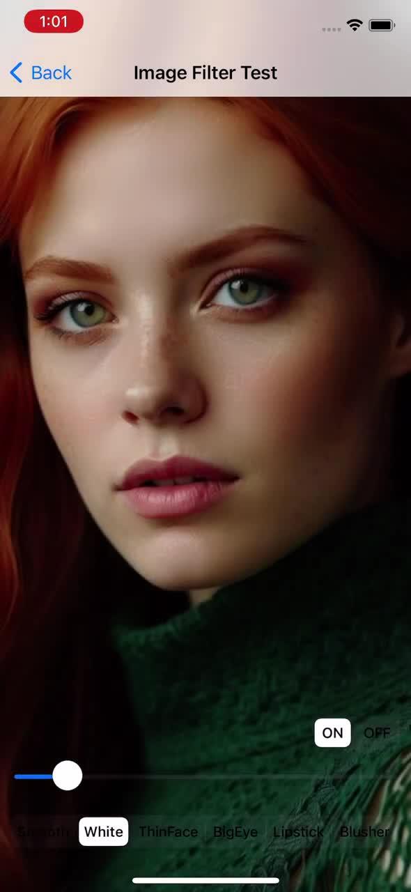 GPUPixel：以光速打造美丽，开源跨平台的实时美颜滤镜库，赋能您的应用尽显商业级影像魅力! - 知乎