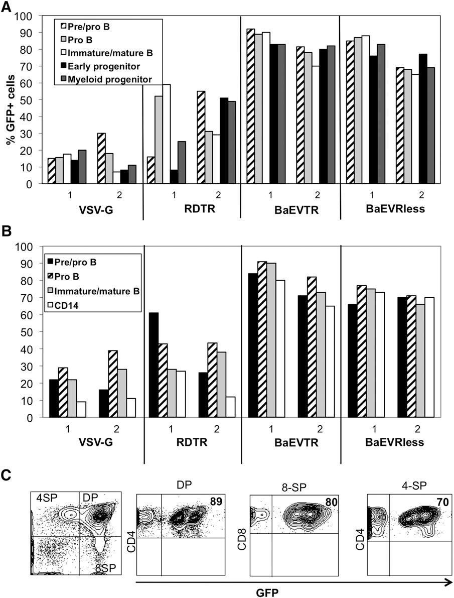 【新品推荐】狒狒内源性逆转录病毒包膜糖蛋白假型慢病毒（BaEV-LVs）——实现低剂量、低细胞因子依赖及高静止期细胞转导 - 知乎