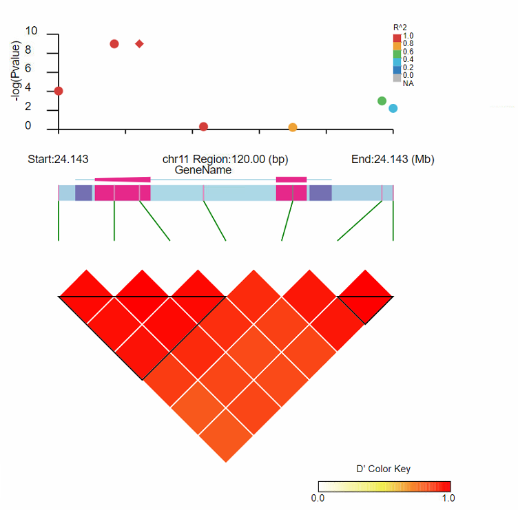 GWAS分析完，要做单倍型图，还要做单倍型的显著性分析？ - 知乎