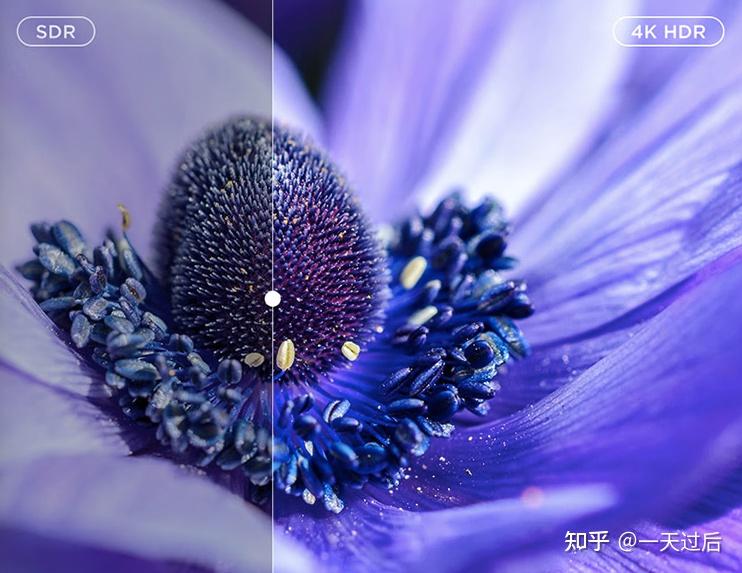 电视海信E8K和E8H区别是什么，对比哪个好 - 知乎