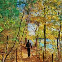 MIT 6.S081 Operating System - 知乎