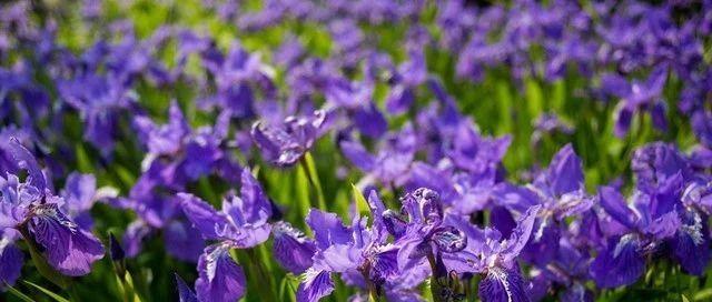 Gradio入门（2）表格DataFrame的进阶使用 - 知乎