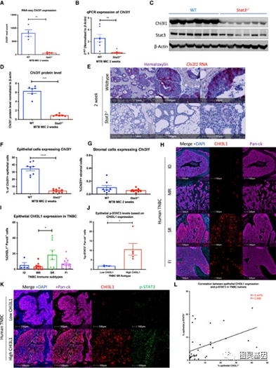 Sci Adv | 利用T细胞衰竭和红细胞增多来分离患者来源的肿瘤特异性TCR - 知乎