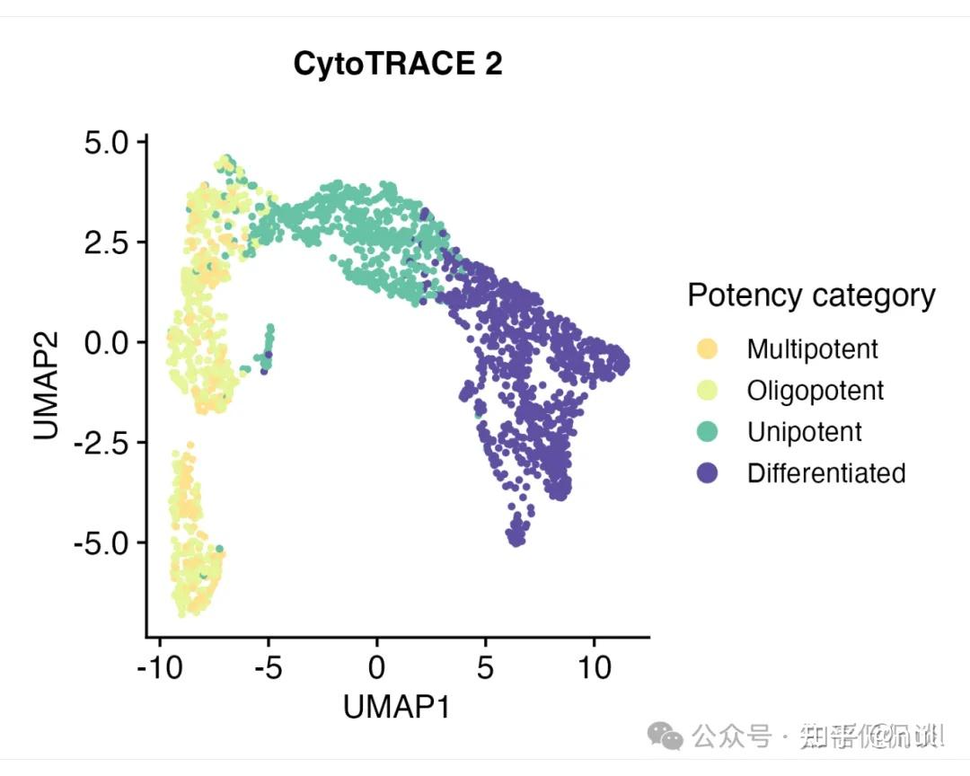 CytoTRACE 2 预测细胞分化潜力 - 知乎