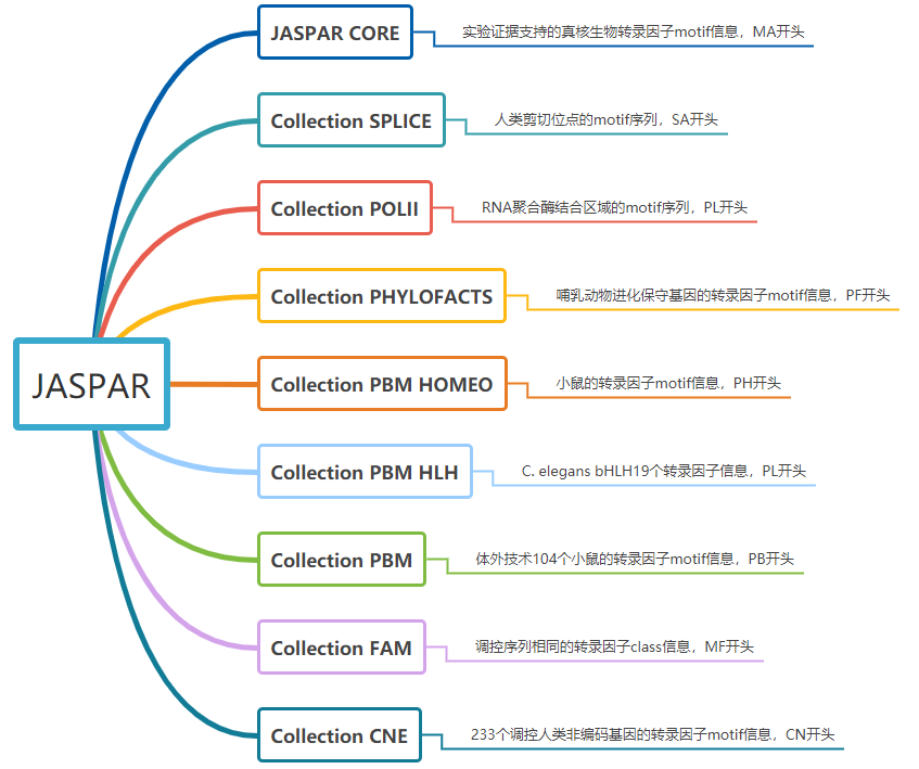 JASPAR：转录因子motif数据库 - 知乎