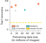 Nature Medicine｜Towards a general-purpose foundation model for computational pathology 论文分享 - 知乎