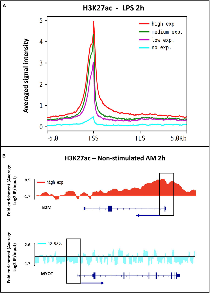 组蛋白修饰系列（二）H3K27ac - 知乎
