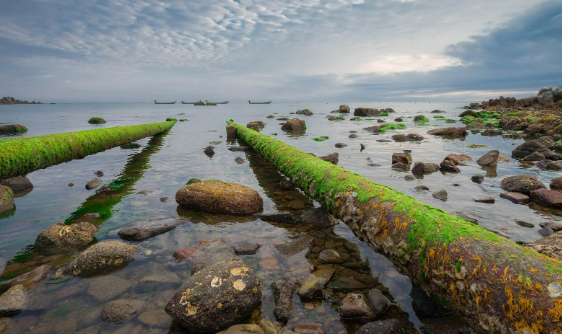 Biome-BGC生态系统模型原理与应用 - 知乎